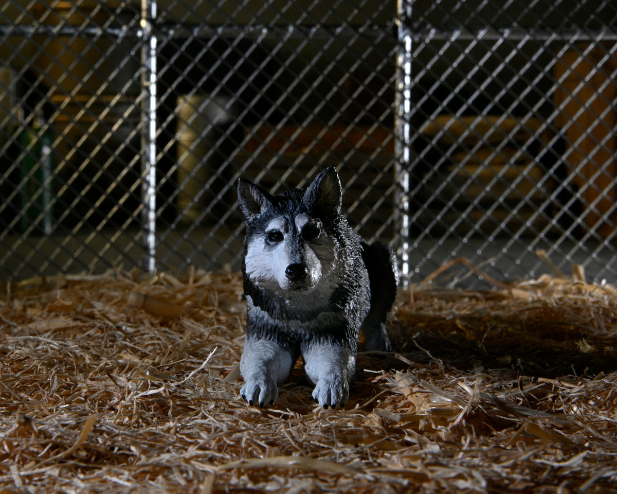 The Thing Deluxe Ultimate Dog Creature 7” Scale Action Figure - NECA ...