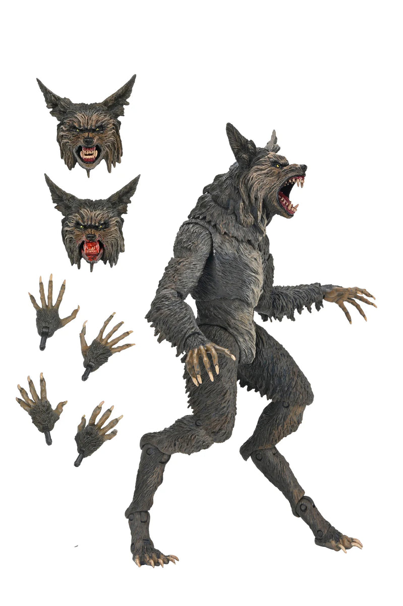 The Howling - Ultimate Werewolf 7” Scale Action Figure - NECA – Props ...