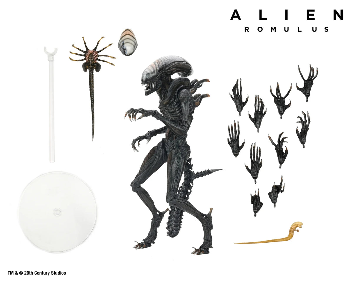 Alien: Romulus Ultimate Scorched Xenomorph 7" Inch Scale Action Figure ...