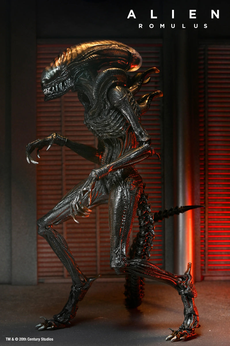 Alien: Romulus Ultimate Scorched Xenomorph 7" Inch Scale Action Figure ...