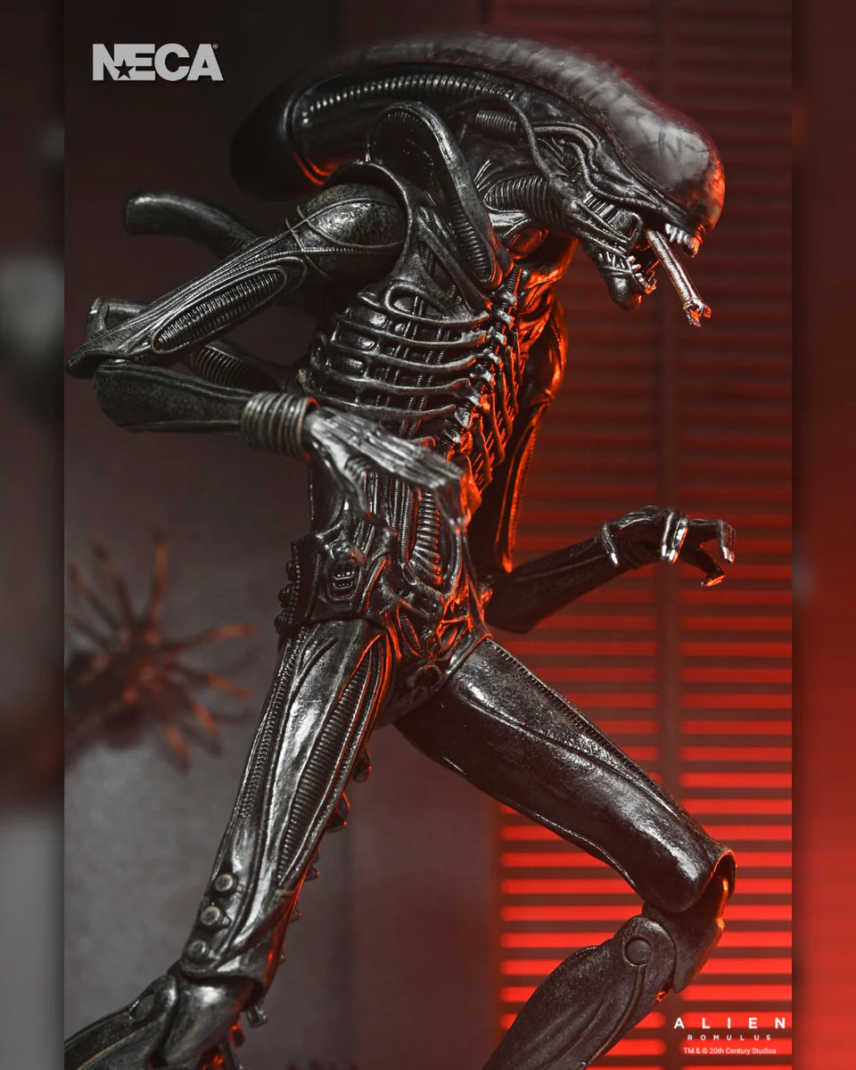 Alien: Romulus - Ultimate Xenomorph XX121 7" Inch Scale Action Figure ...