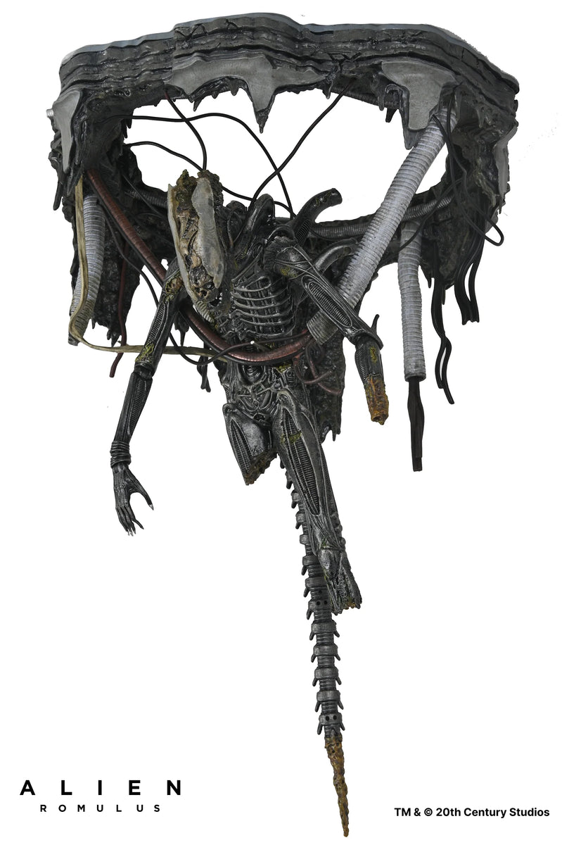 Alien: Romulus - Deluxe Suspended Lab Xenomorph XX121 7" Inch Scale Ac ...