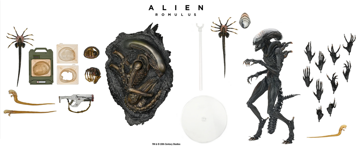 Alien – Props & Replicas.co.uk