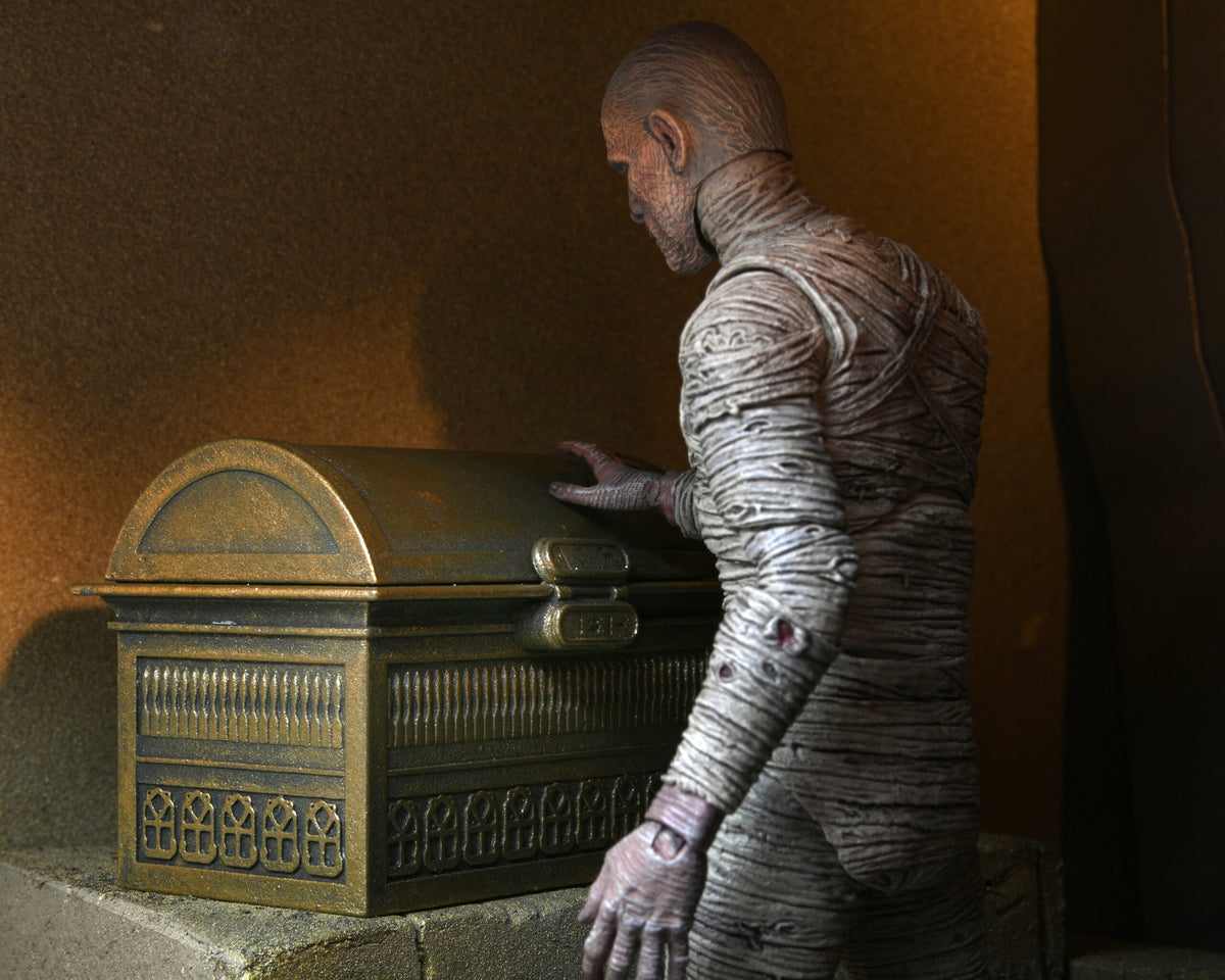 Universal Monsters Accessory Pack – The Mummy - NECA – Props & Replicas ...